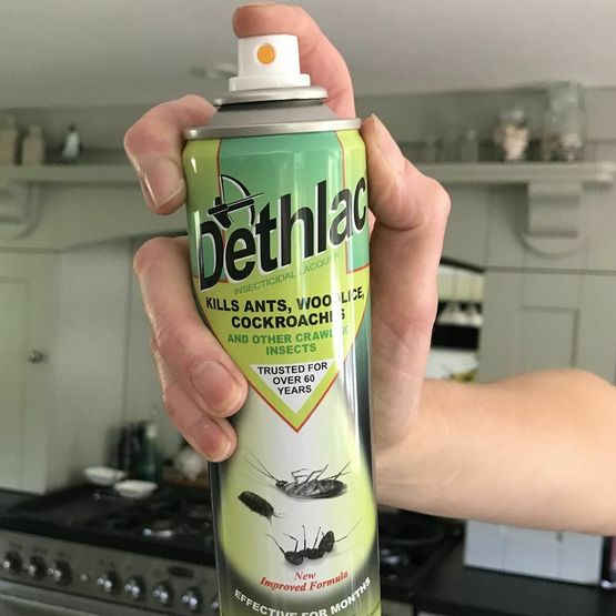 Dethlac Insecticidal Lacquer - 250ml Aerosol only £5.99